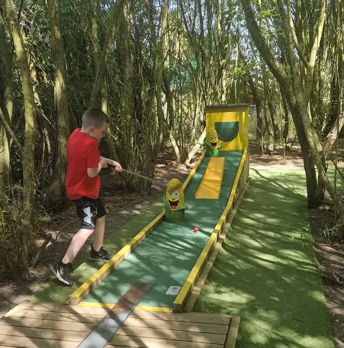 York Maze Summer 2026 Guide | David Attenborough Maize Theme