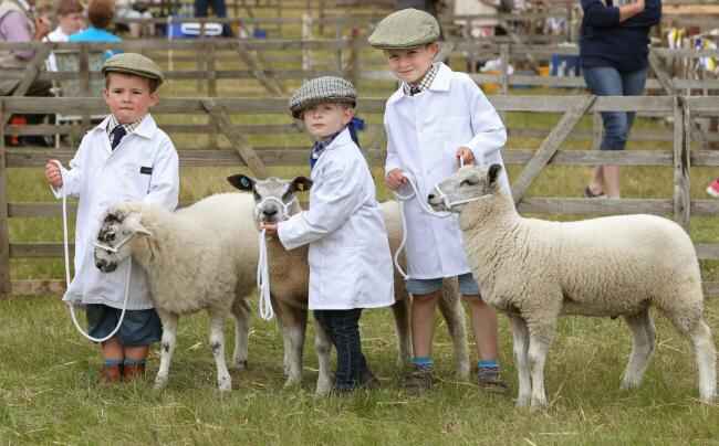 Country Shows In Yorkshire