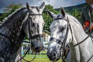 Country Shows In Yorkshire